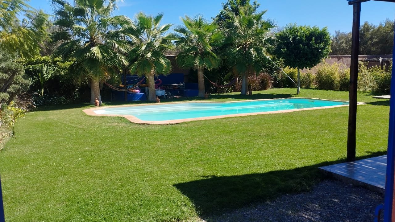 Ayoub Mechki : Votre expert en Jardinage à Marrakech